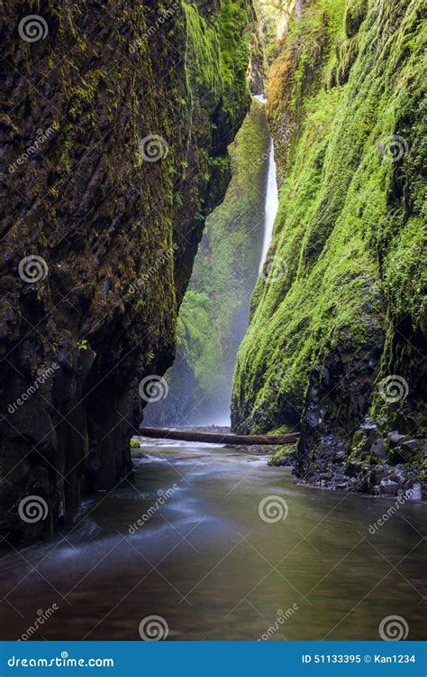 Oneonta Falls In Columbia River Gorge Oregon Stock Image Image Of