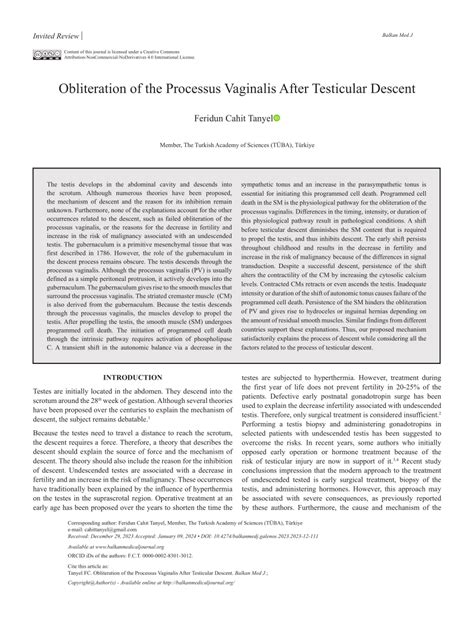 Pdf Obliteration Of The Processus Vaginalis After Testicular Descent