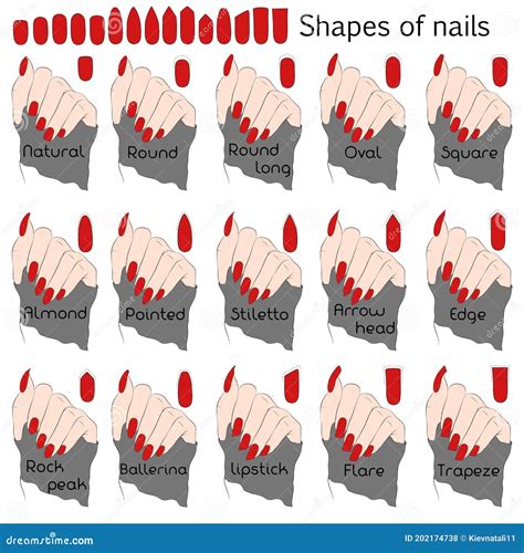 Shapes Of Nails Black And White Illustration For Professional Manicure With Names Of Shapes