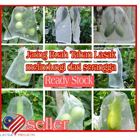 Sarung Buah Jaring Tahan Lasak Fruit Protect Net Bag Garden Plant Mesh Anti Insect Fly Bird