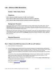 15 4 8 Lab Observe DNS Resolution Docx Lab Observe DNS Resolution Babe Robin Danny