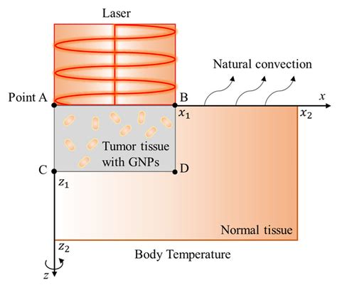 Schematic Figure Of Validation Numerical Analysis Model Download