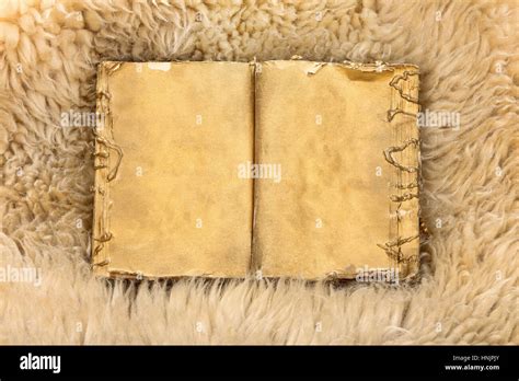 Sheepskin Parchment Paper
