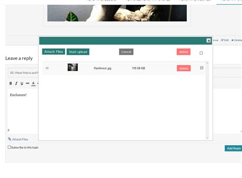 Cant Add Images To Post Wpforo Advanced Attachments Gvectors Team