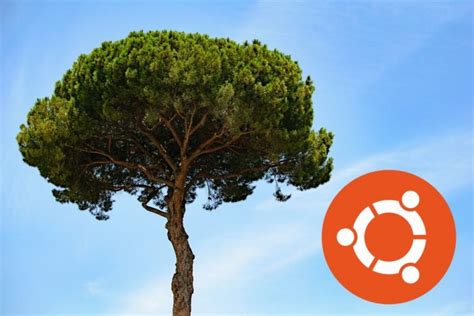 Linuxでtreeコマンドを利用する方法(treeのインストール) ジコログ Linuxでtreeコマンドを利用する方法(treeのインストール) ジコログ