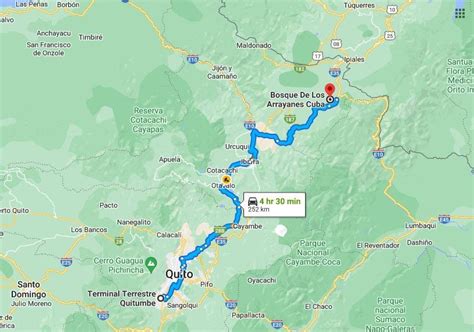 Cómo Llegar Al Bosque De Los Arrayanes En Ecuador Ecuador Noticias Cómo Llegar Al Bosque De Los Arrayanes En Ecuador Ecuador Noticias