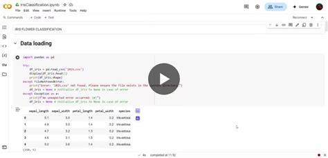datascience irisflowerclassification systemtron akash hiremath