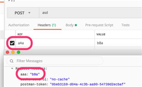 Issues With Postman Console Issue Postmanlabs Postman App Support GitHub