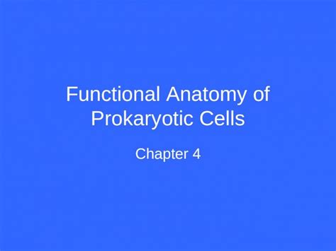 ppt functional anatomy of prokaryotic cells chapter 4 dokumen tips