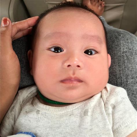 Sinethអ្នកចែកចាយ