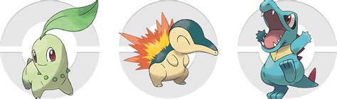 宝可梦金银宝可梦黑白金银宝文秘苑图库