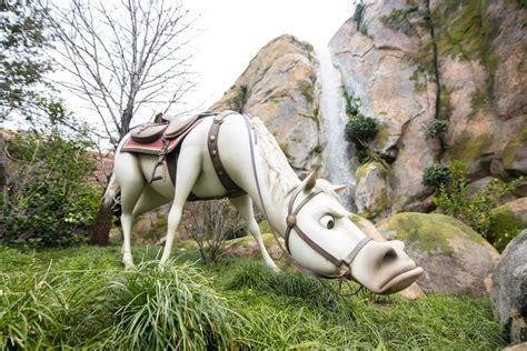 Photos Rapunzels Lantern Festival In Tokyo Disneysea Diservations