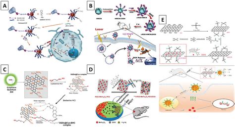 Examples Of Strategies Used To Bond More Than One Bioactive Molecule To