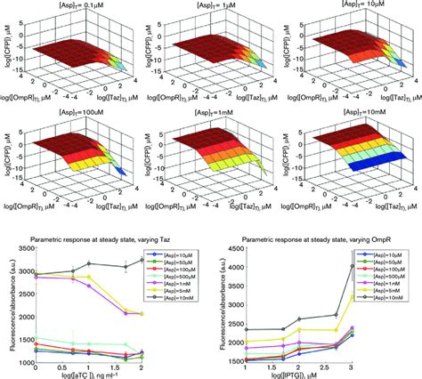 Simulation Top And Middle Rows And Experimental Bottom Row Results Download Scientific