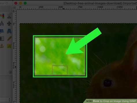 How To Crop An Image Using GIMP Steps With Pictures WikiHow
