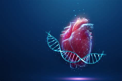 Sex Specific Genetic Differences Identified In Dilated Cardiomyopathy