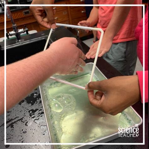 Cell Membrane Bubble Lab ⋆ The Trendy Science Teacher