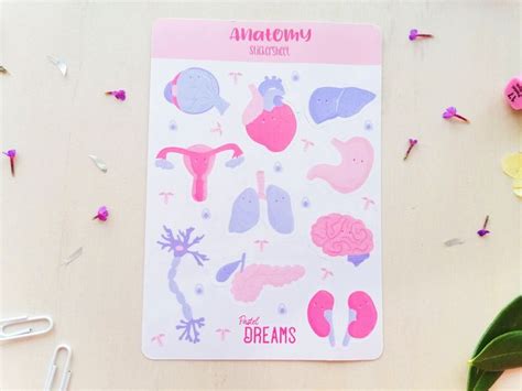 Biology Sticker Set Anatomy Stickers Medicine Stickers Shiny Sticker