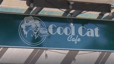 Cool Cat Cafe Hosts Maui Fundraiser In San Luis Obispo