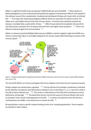 Rabies Wiki DOCX