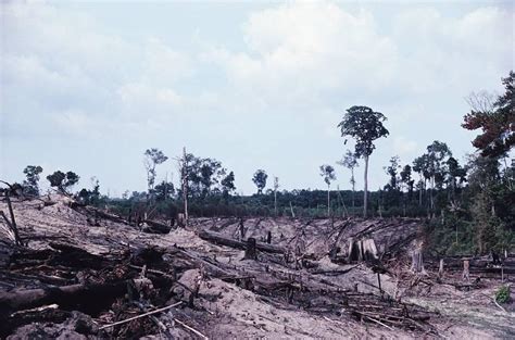 Erosion Geologisk Proces Læs Om Typerne Lex