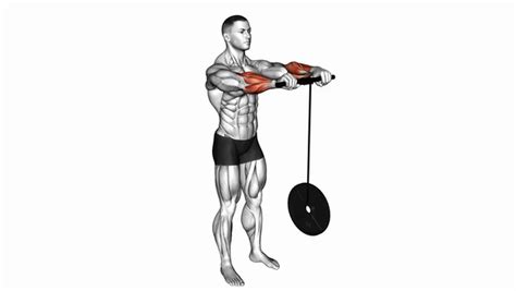 Wrist Roller Exercise Guide How To Muscles Worked And Variations