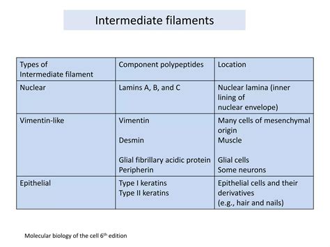 Cytoskeleton Pptx