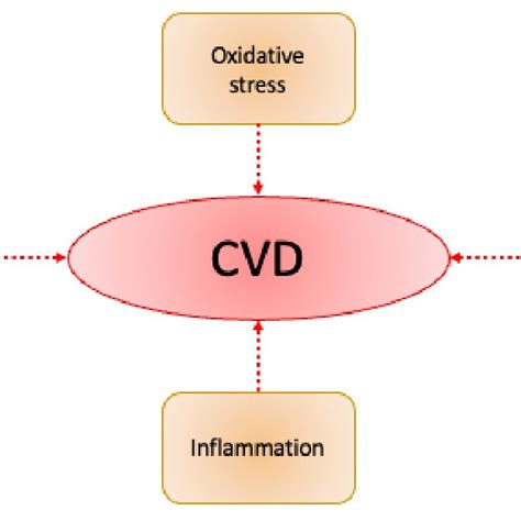 Scheme Of Essential Components Of Cvd Download Scientific Diagram