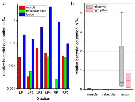 visualization of bacterial count in the different tissue slices from