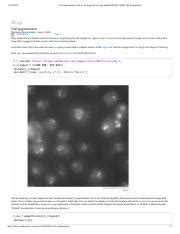 Cell Segmentation A Guide To Image Processing And MATLAB Course Hero