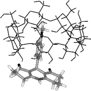 Optimised Plausible Binding Mode For 1 1 Host To Guest Complexation Of Download Scientific