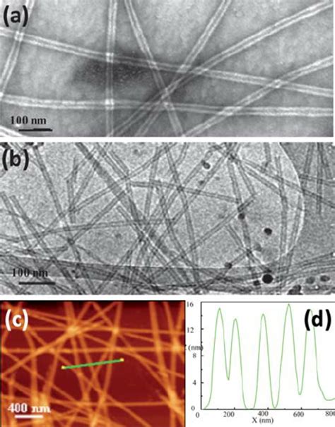 Fmoc Peptide Building Blocks Supramolecular Structures A Enzymatic