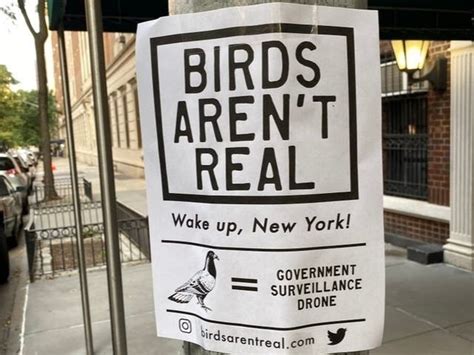 Birds Arent Real Poster Appears On Uws The Bizarre Backstory