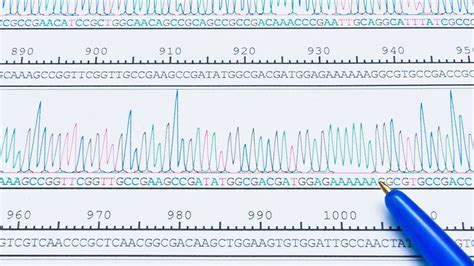 Electrophoresis Graph An Introduction To Capillary Electrophoresis