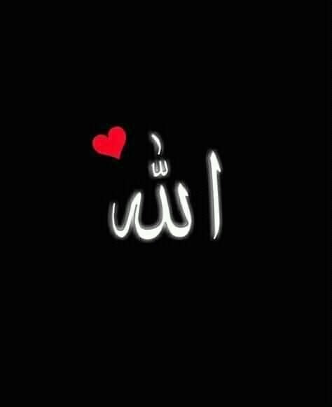 Narges Bahar نرگس بهار