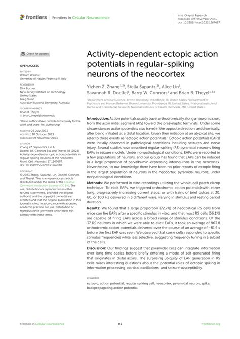 Pdf Activity Dependent Ectopic Action Potentials In Regular Spiking Neurons Of The Neocortex