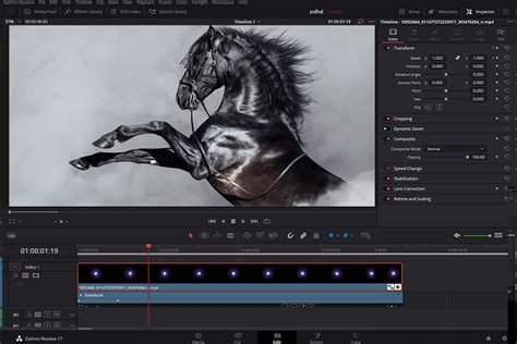 Motion Graphics Software Tools For Amateurs