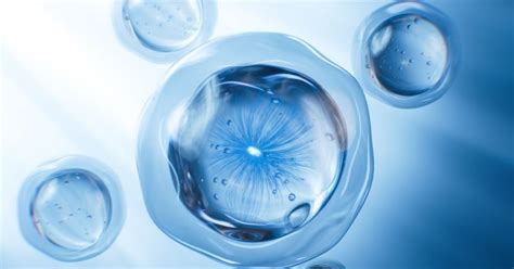 Quadion Technologies On Linkedin Article Series Cell Based