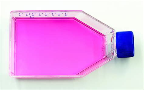 Complement Reagent Is One Of Vh Bios Most Popular Immunology Products Why And How Is It Used