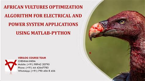 African Vultures Optimization Algorithm For Electrical And Power System