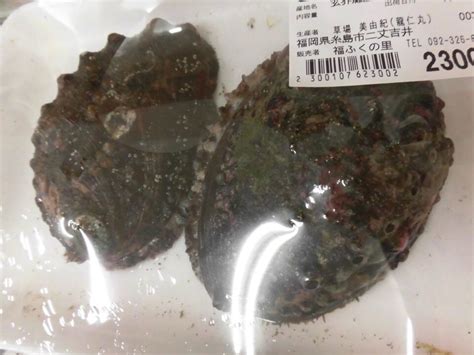 3月28日（金）採れたて！ 【福岡県糸島市】福ふくの里：二丈福吉の直売所・産直所