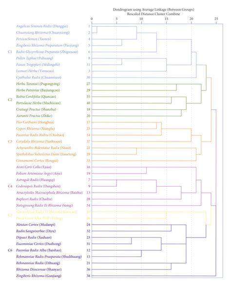 Dendrogram Of Cluster Analysis The Diagram Was Generated By Ibm Spss