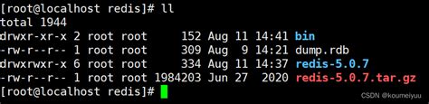 Redis Could Not Connect To Redis At 1270016379 Connection