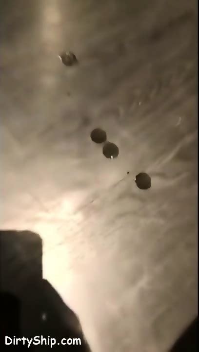 Rainey James Full Videos At Eporner