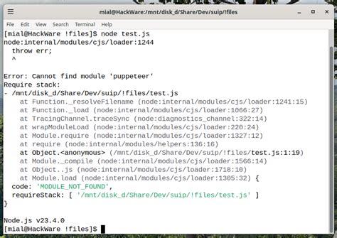 Where Does Npm Install Packages Error Cannot Find Module” Even After