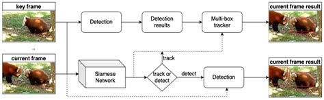 A Review Of Video Object Detection Datasets Metrics And Methods