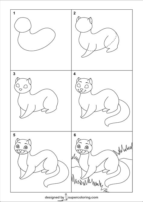 Step By Step How To Draw A Banded Mongoose
