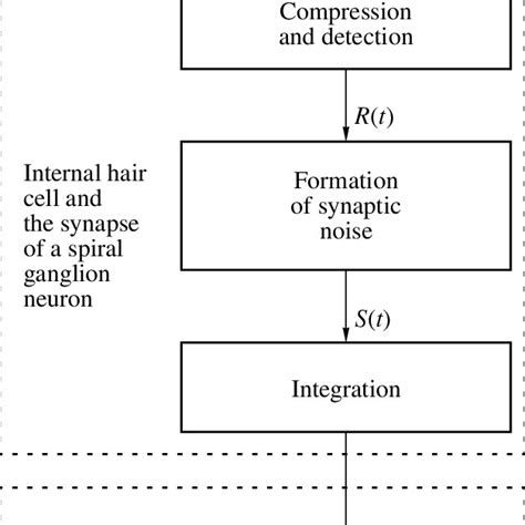 Flow Chart Representing The Model Of The Periphery Of The Auditory Download Scientific Diagram