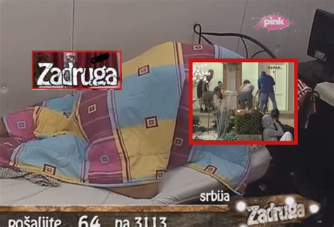 OŠtar Seks U Zadruzi Jahala Ga Je KrvniČki A Onda Ih Je Prekinuo On Došli Svi Bruka Video