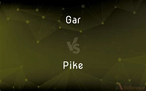 Gar Vs Pike — Whats The Difference